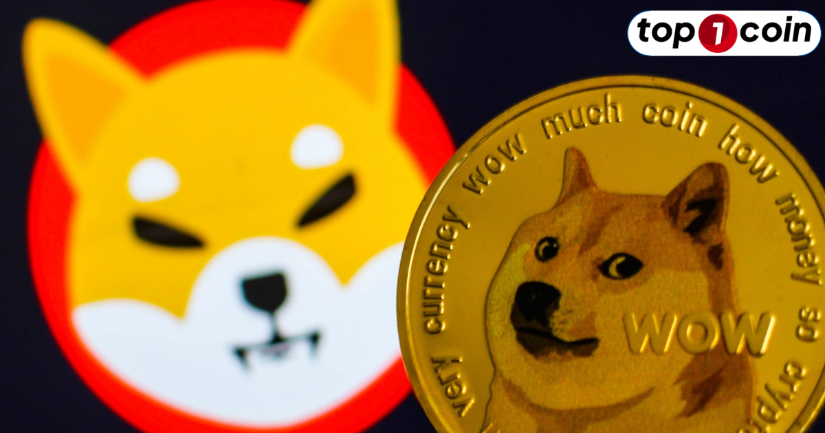So sánh hai đồng Shiba coin và Doge coin. - Top1Coins