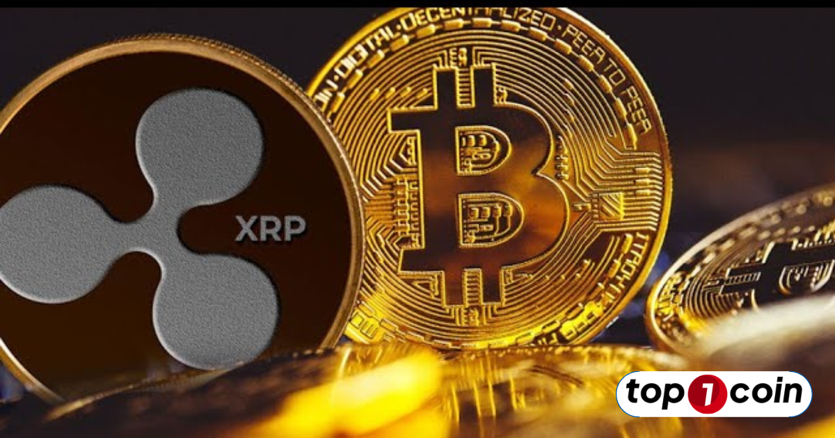 BTC và XRP : Đâu là lựa chọn tốt nhất trong năm 2024 ? - Top1Coins